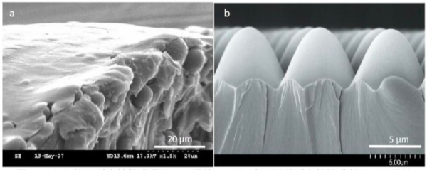 How many types of light diffusion films in the market? – Wanda Chemical ...